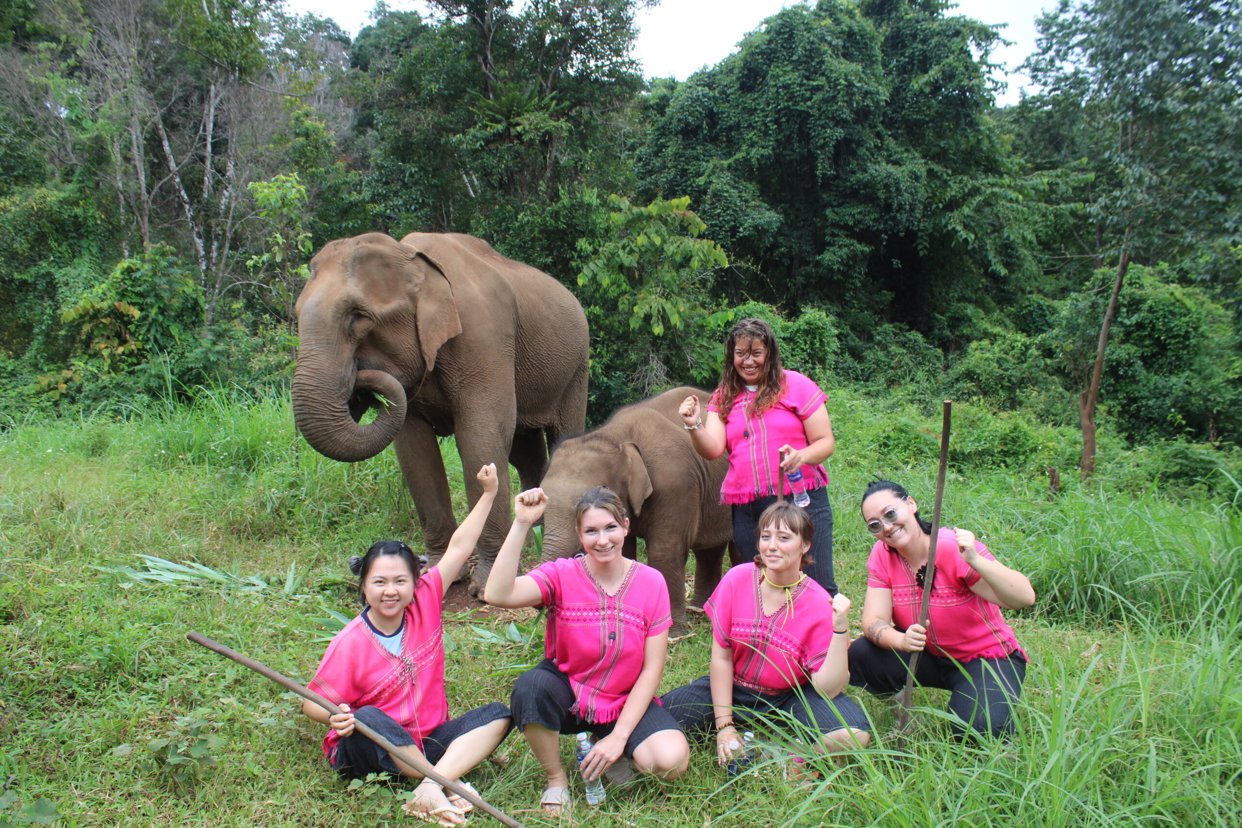 La ker Por! - Chiangmai Elephant Land Chiangmai Elephant Land